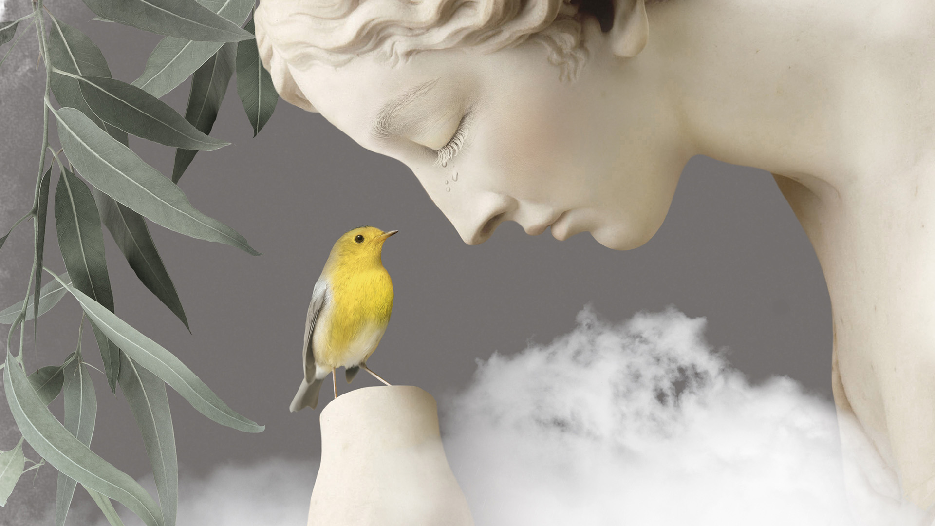 Ibride | French design furniture and objects