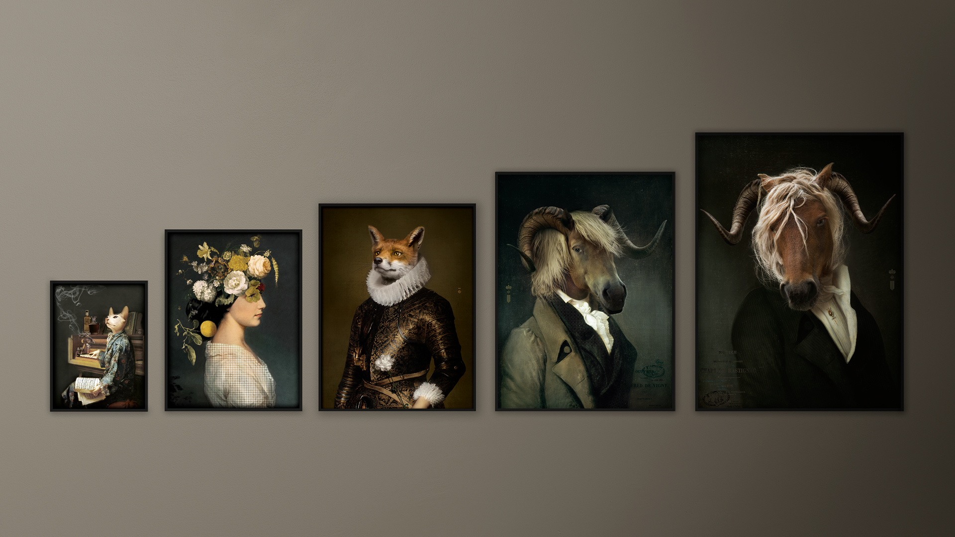 collections | Ibride